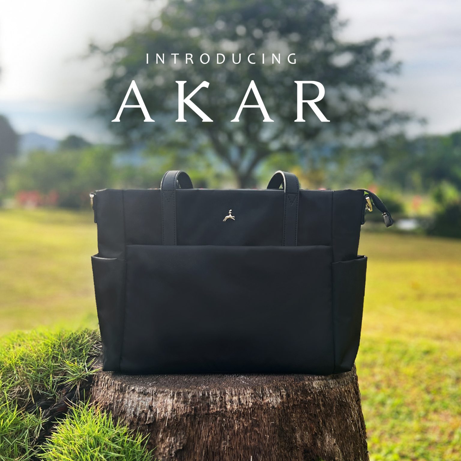 A Better Day with POVILO